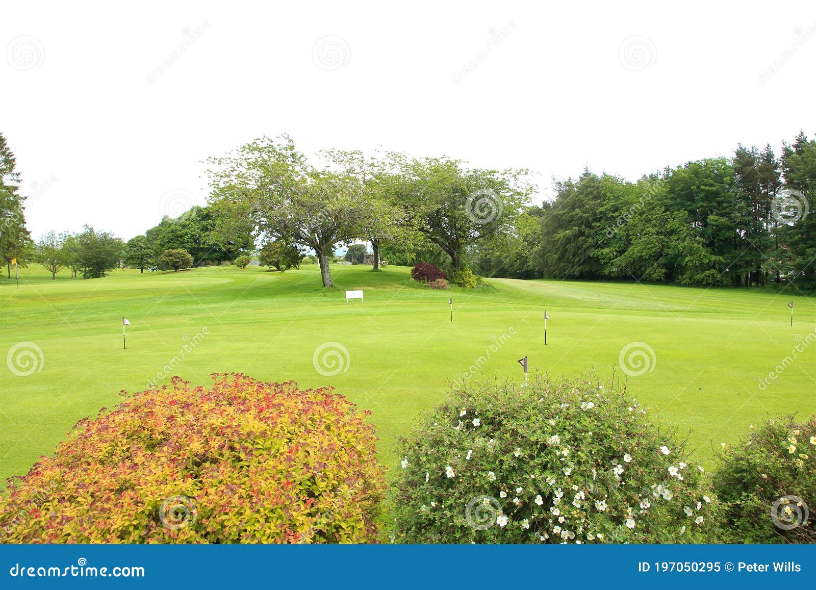 Golf course driving range stock image. Image of range - 197050295