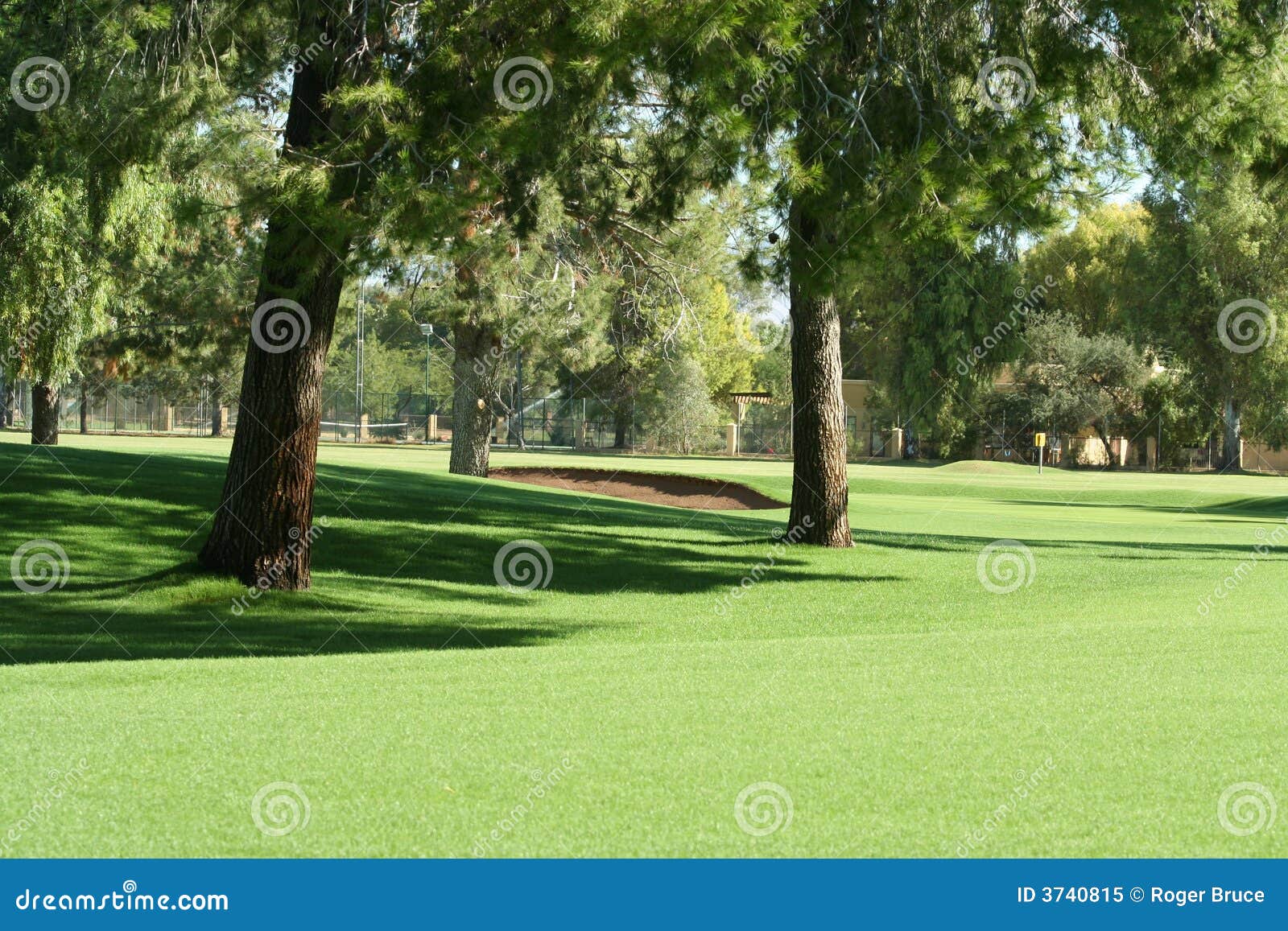 Golf course fairway stock image. Image of sunny, trees - 3740815