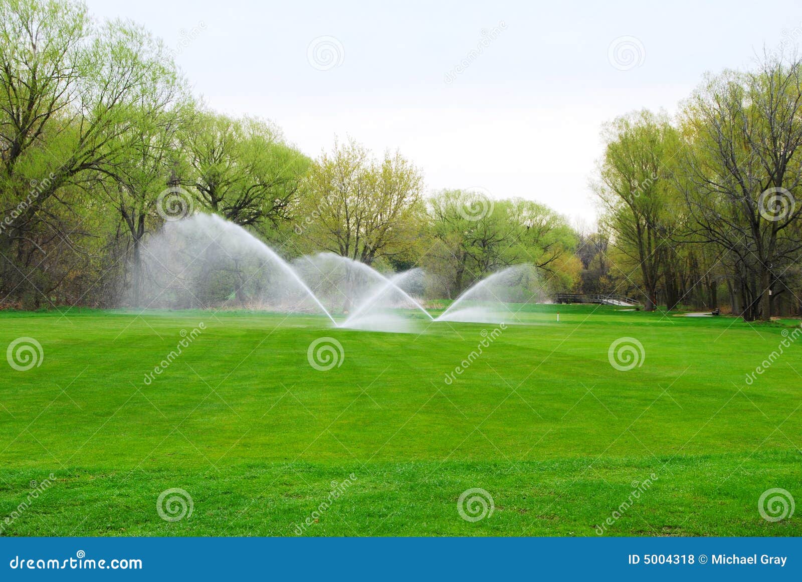 Golf Course Fairway Being Watered Stock Photo - Image of summer ...