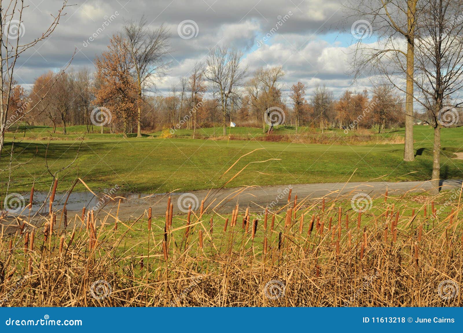 Golf course in fall stock photo. Image of branches, fall - 11613218