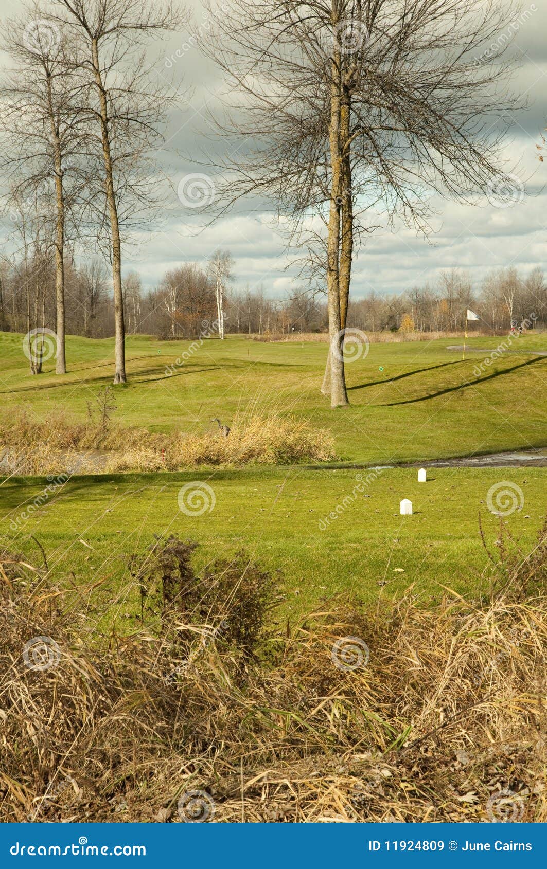 Golf course in fall stock image. Image of trees, flagpole - 11924809
