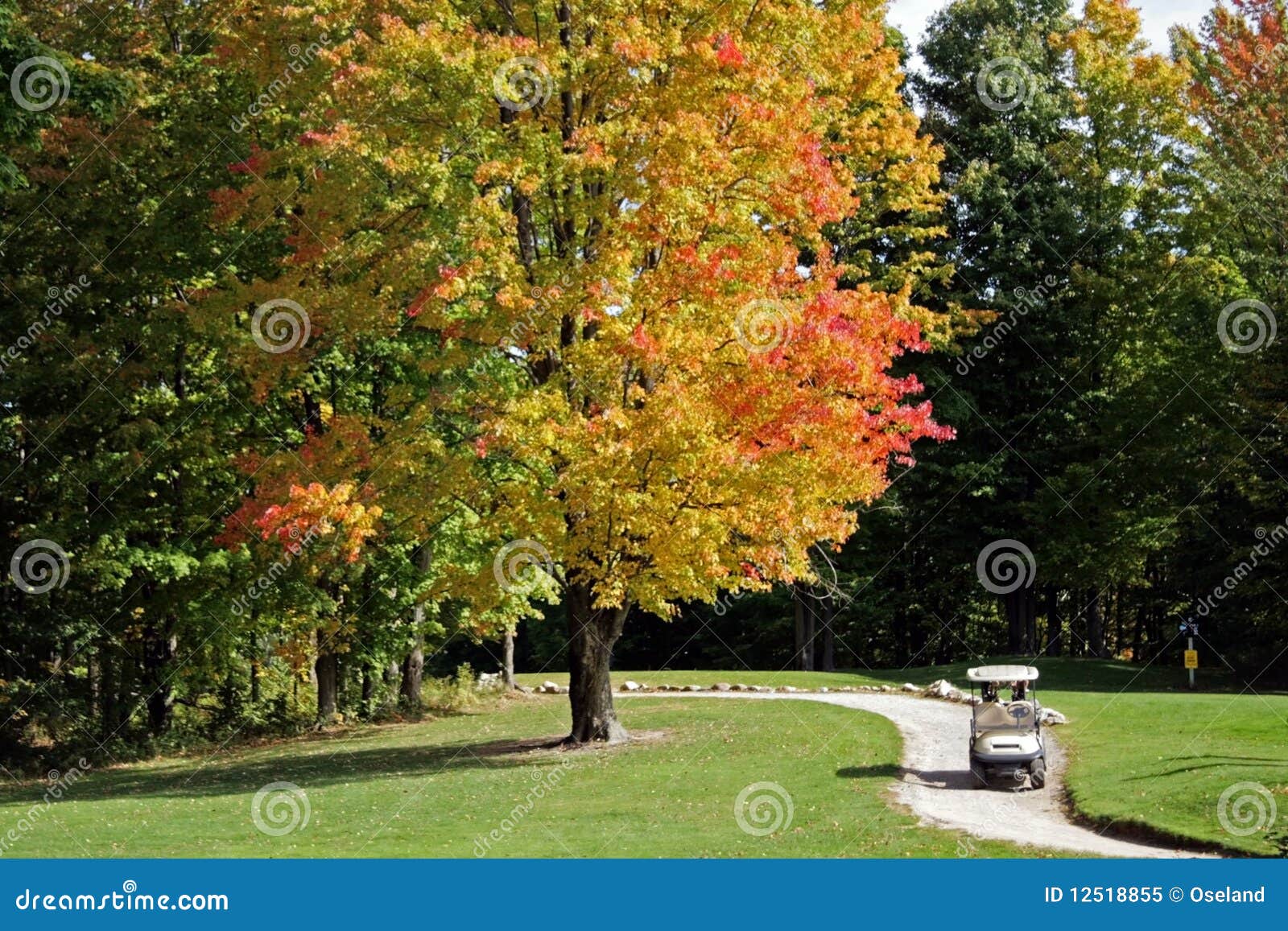Golf Course in Fall stock image. Image of seasonal, colors - 12518855