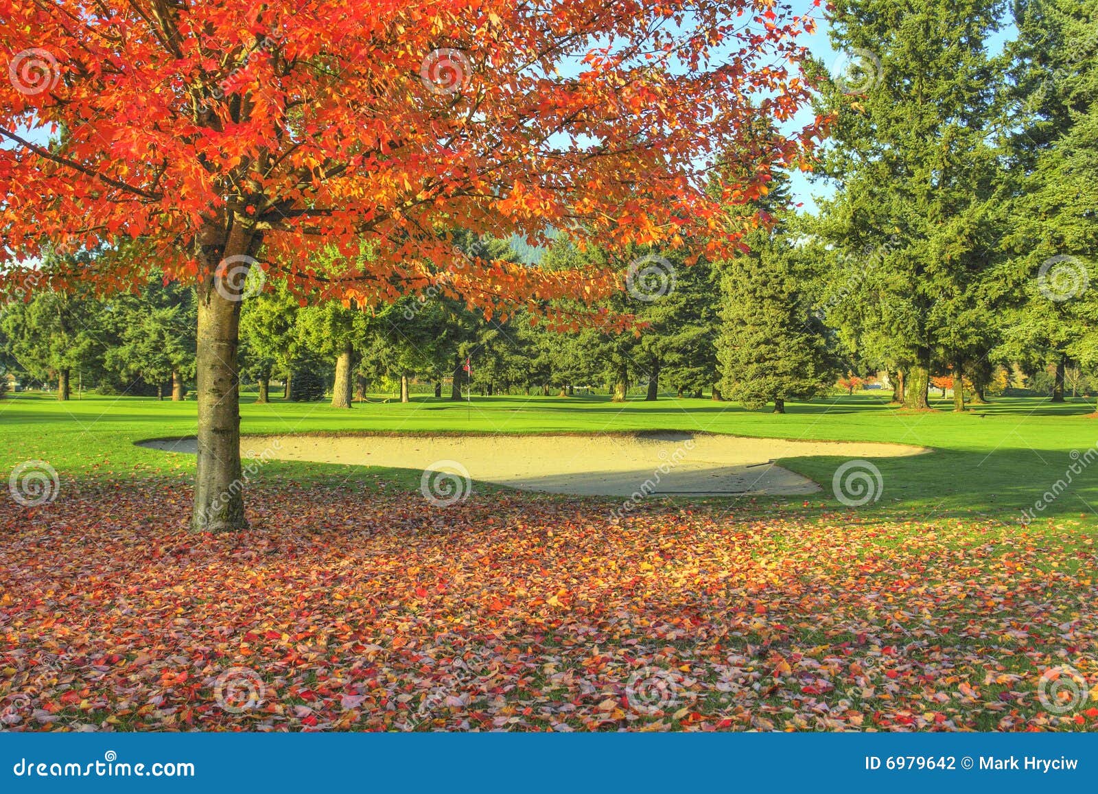 Golf Course Fall Autumn stock photo. Image of fallen, trap - 6979642