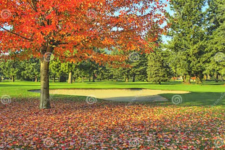 Golf Course Fall Autumn stock photo. Image of fallen, trap - 6979642