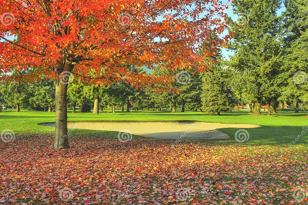 Golf Course Fall Autumn stock photo. Image of fallen, trap - 6979642