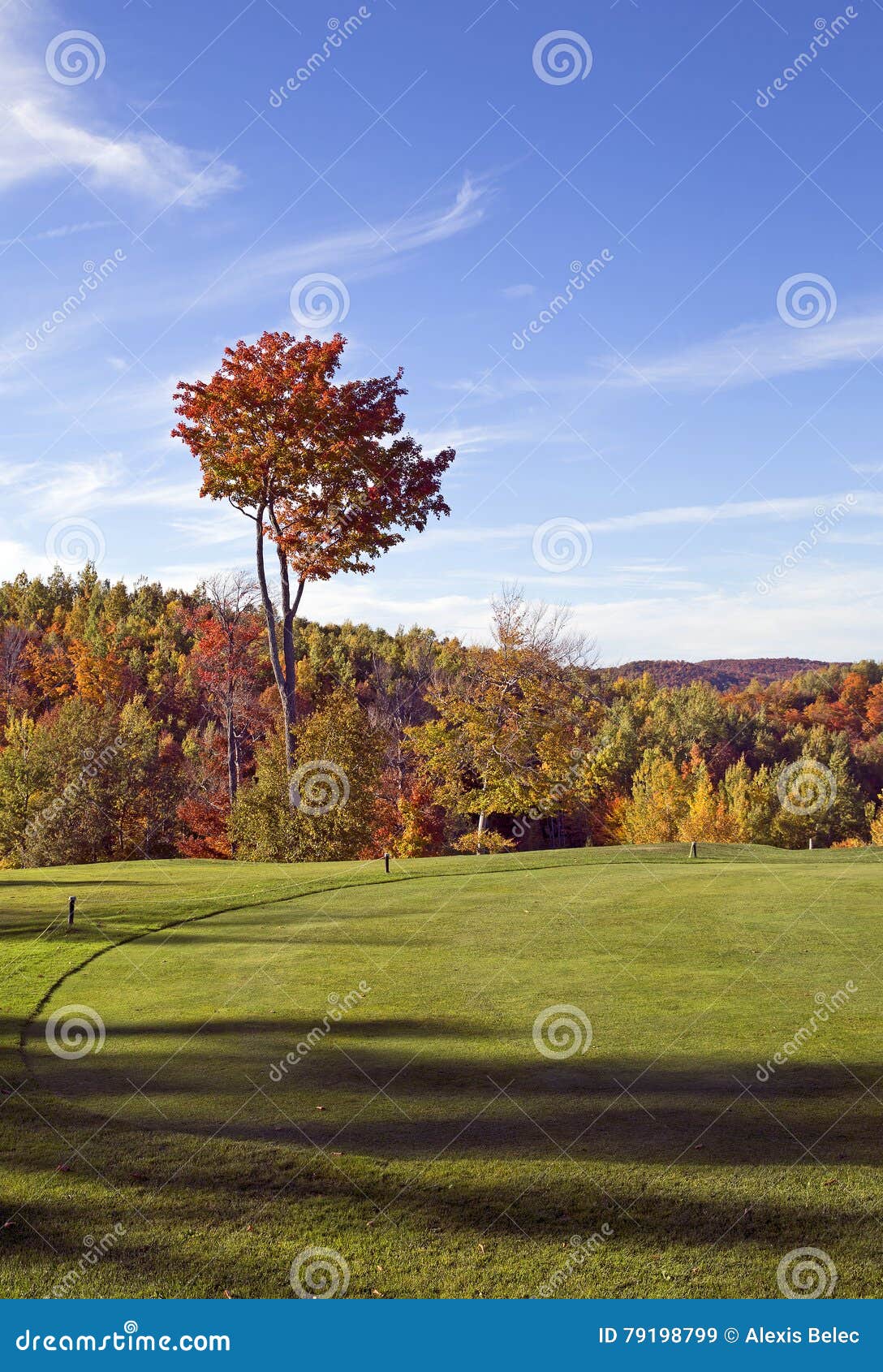 Golf course stock image. Image of nature, drive, color - 79198799