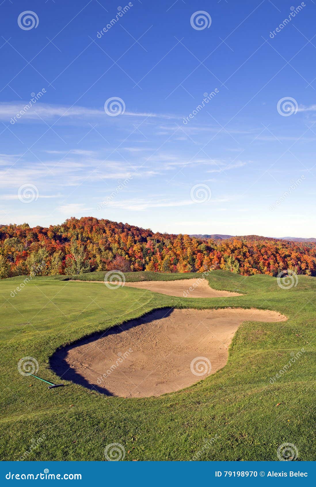 Golf course stock photo. Image of foliage, branch, plant - 79198970
