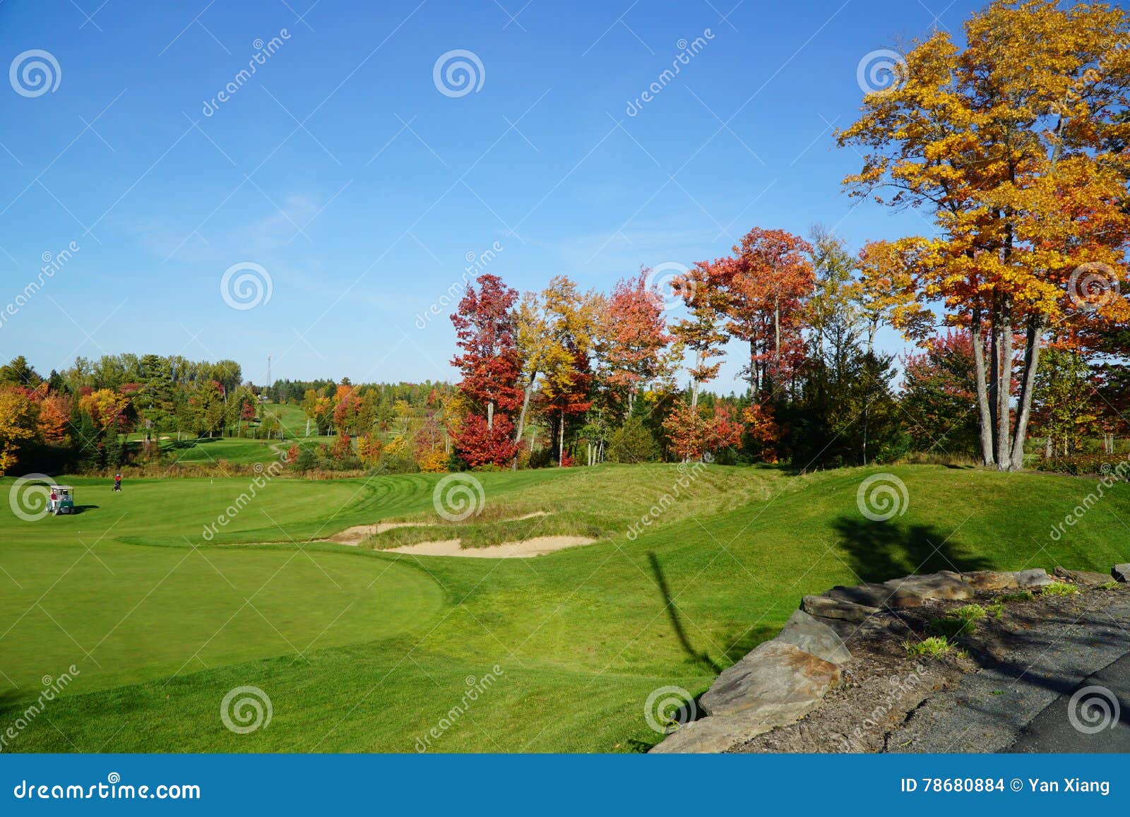 Golf course in the fall stock photo. Image of trees, bold - 78680884
