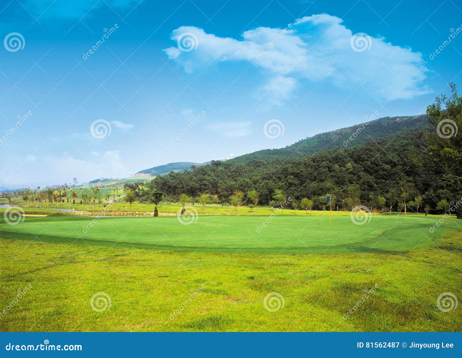 Golf Course stock image. Image of nature, field, grass - 81562487