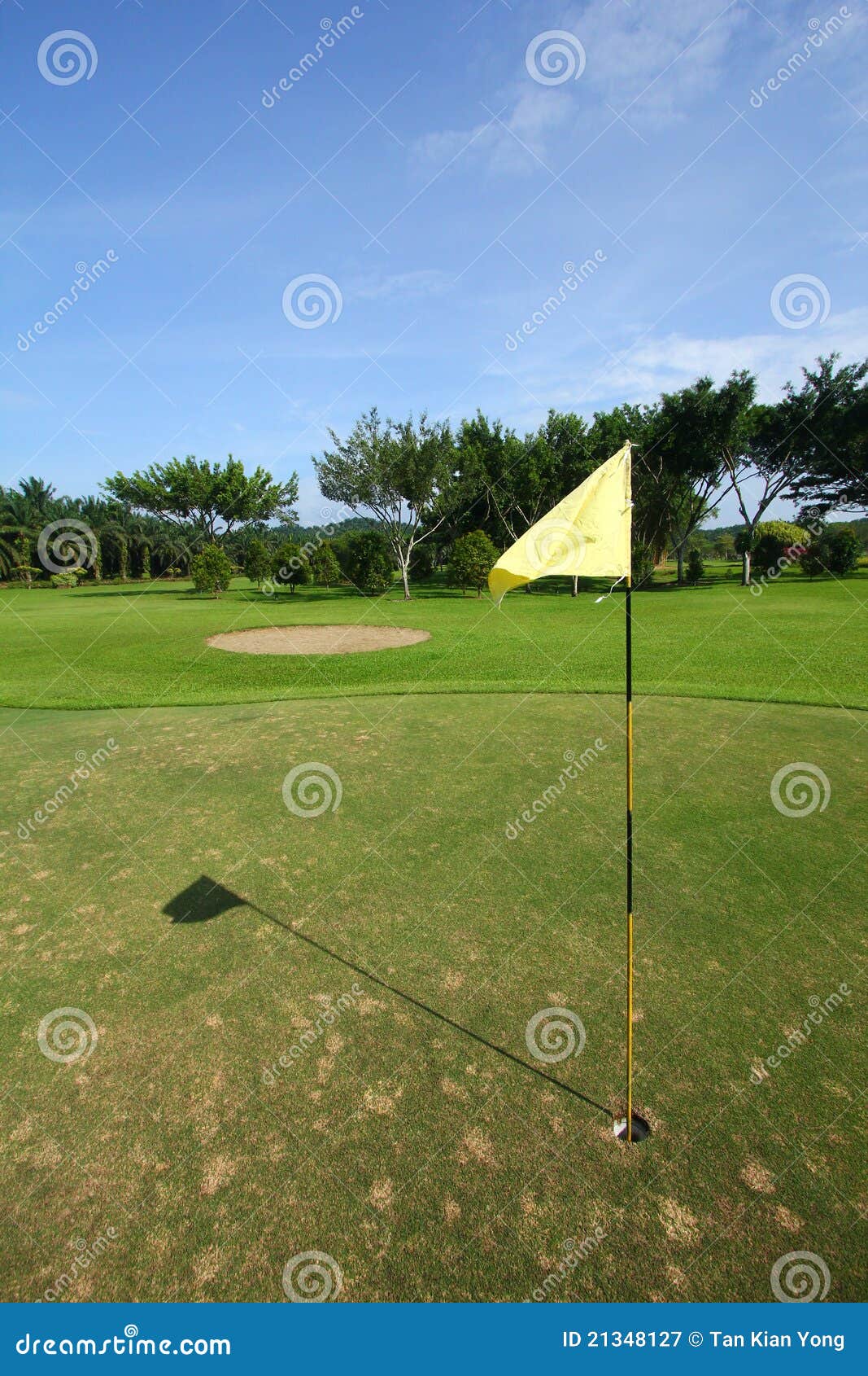Golf course with flag stock image. Image of recreation - 21348127