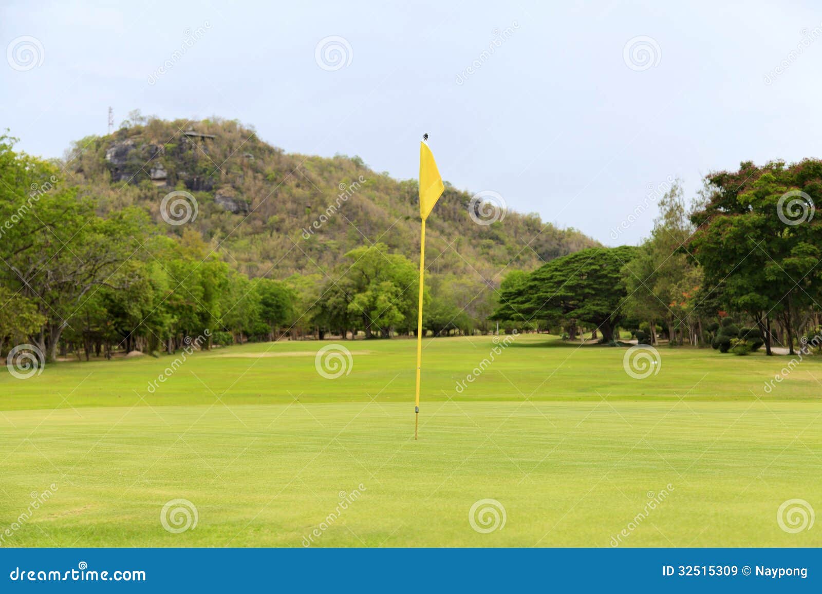 Golf course stock image. Image of lawn, natural, lifestyle - 32515309