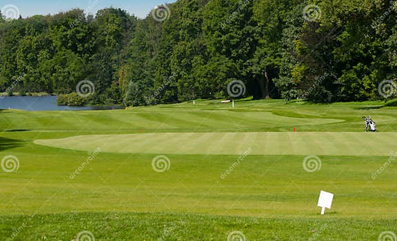 Golf Course in Forest stock photo. Image of bunker, grass - 20895508