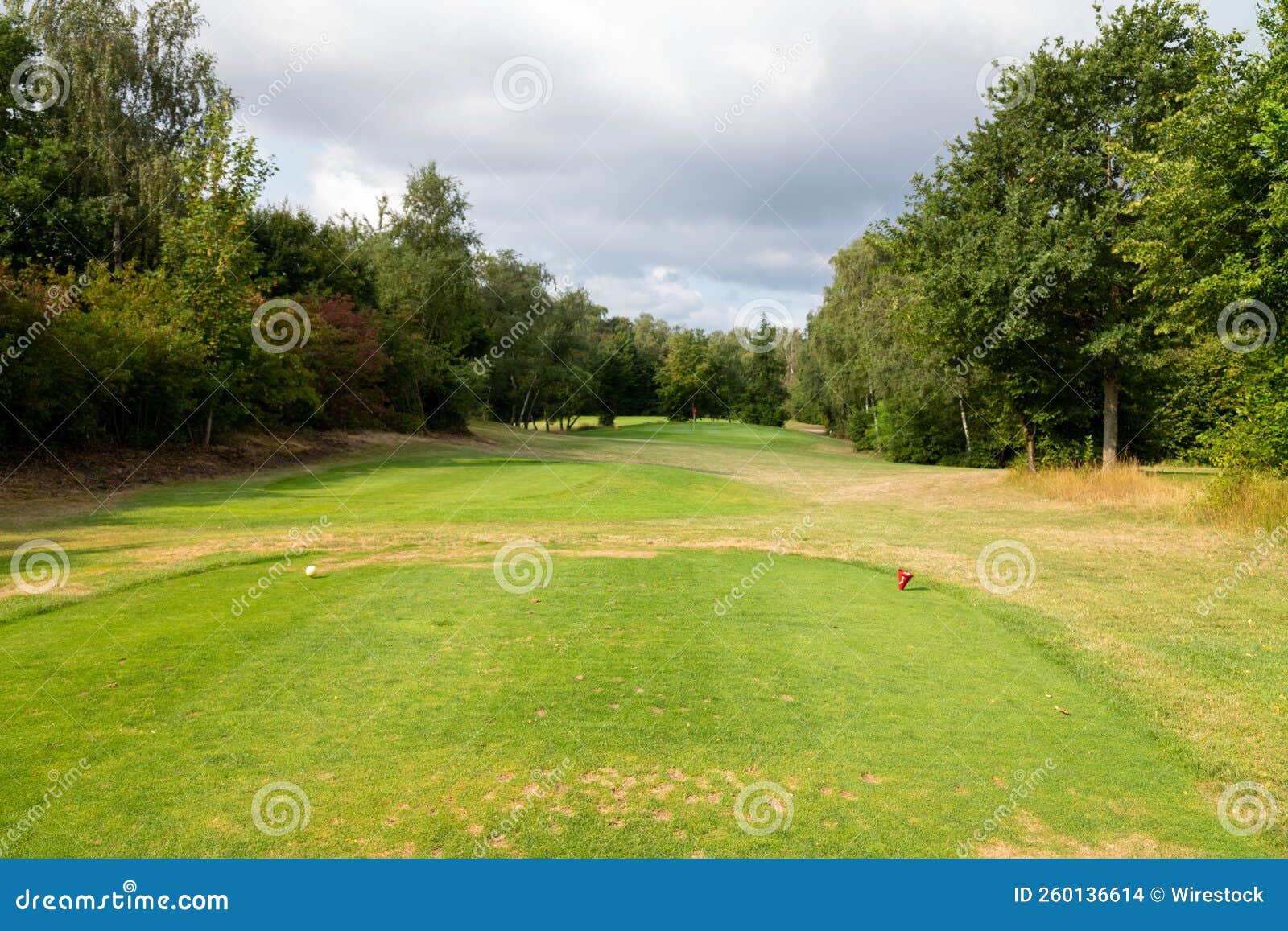 Golf Course with Grass and Clouds in the Sky Stock Photo - Image of ...