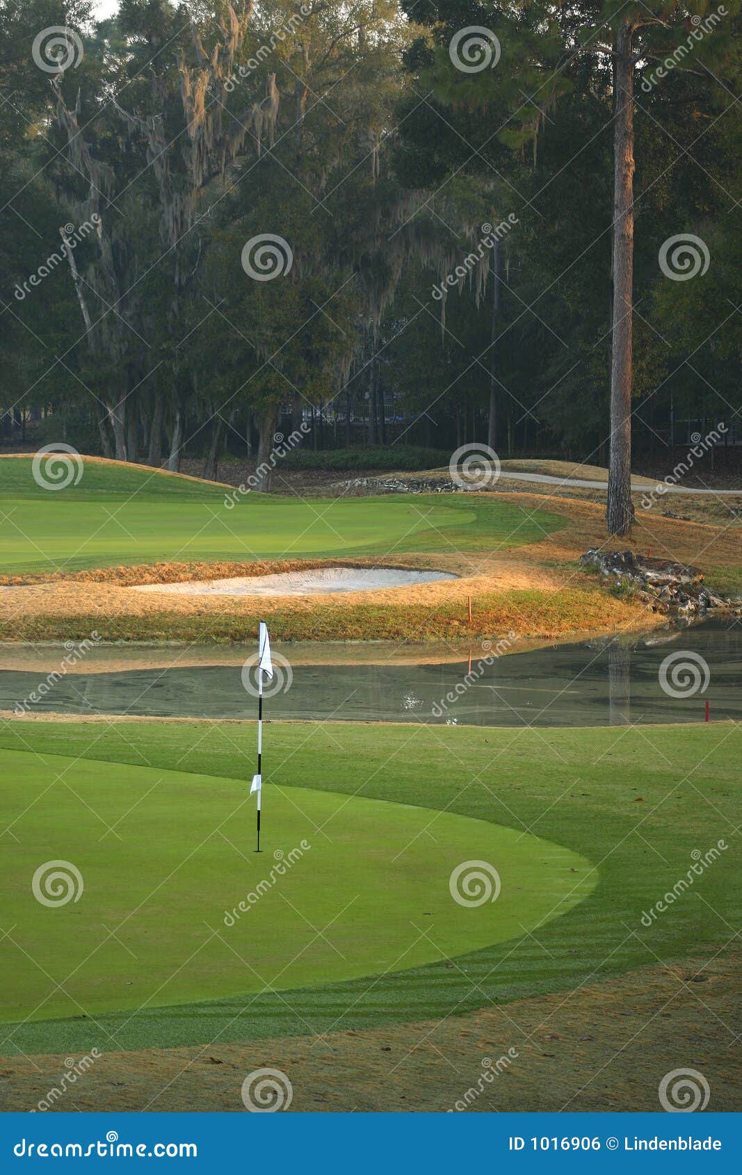 Golf Course Green stock photo. Image of hole, green, golfing - 1016906