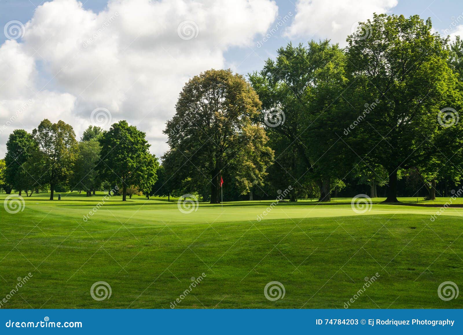 Golf course green. stock image. Image of golf, game, color - 74784203