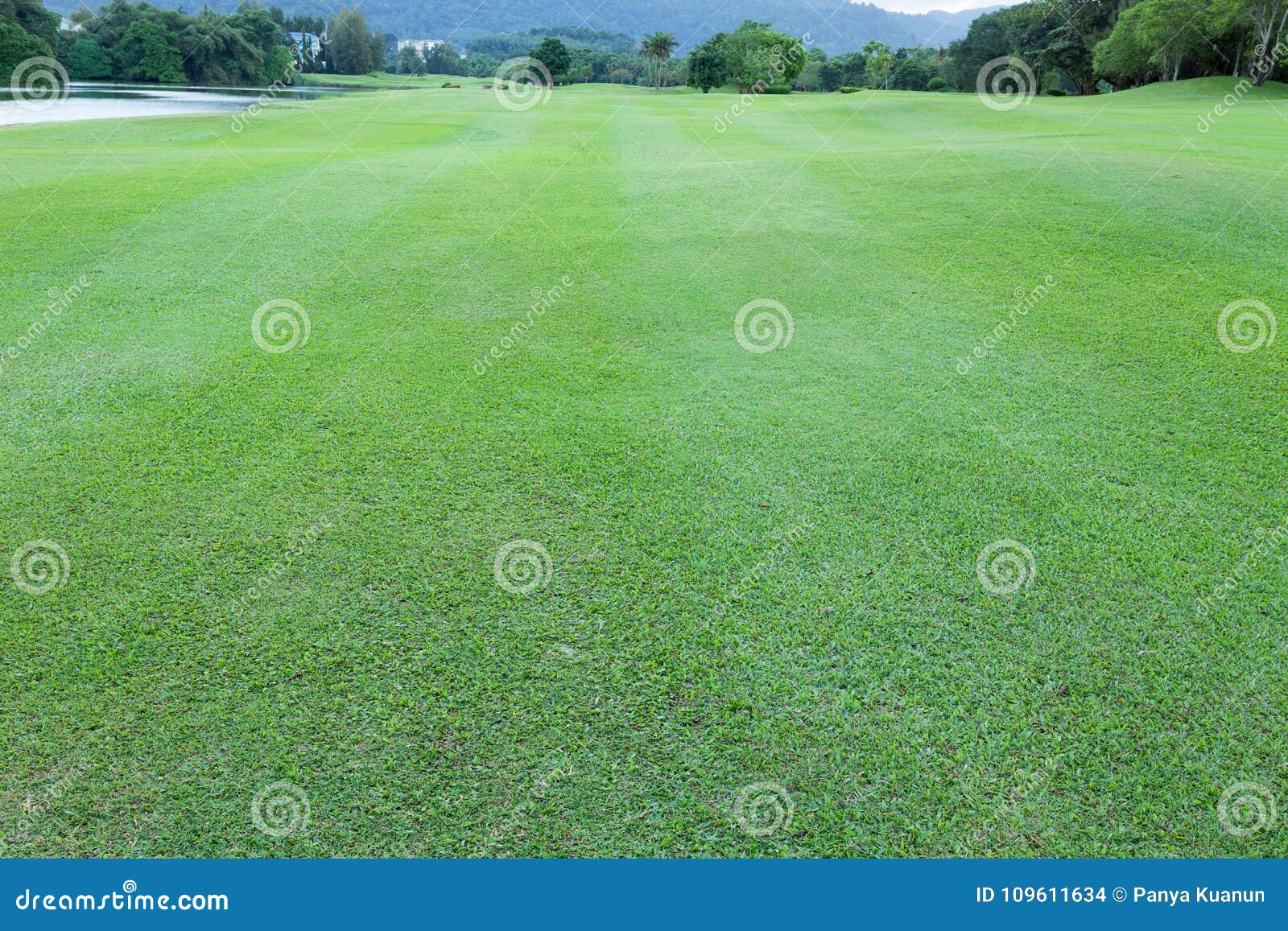 Golf Course Green Grass Field and Lagoon. Stock Photo - Image of golf ...