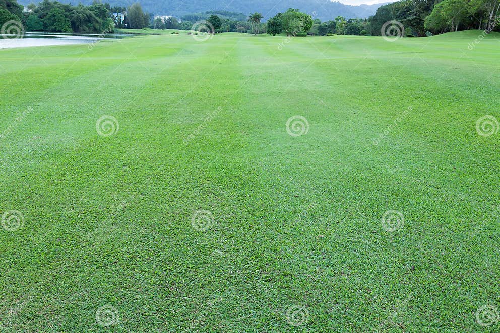 Golf Course Green Grass Field and Lagoon. Stock Photo - Image of golf ...