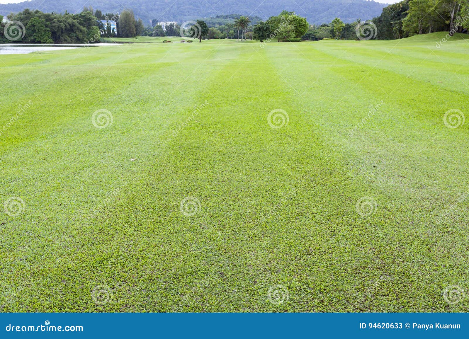 Golf Course Green Grass Field and Lagoon. Stock Image - Image of golf ...