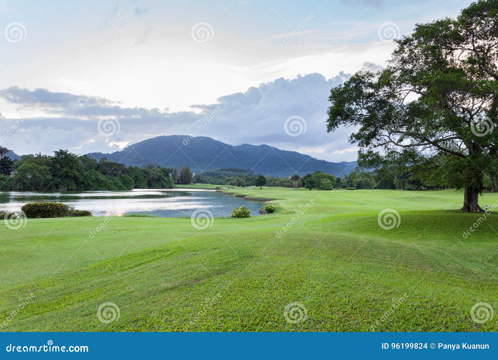 Golf Course Green Grass Field with Mountain Tropical Forest. Stock ...