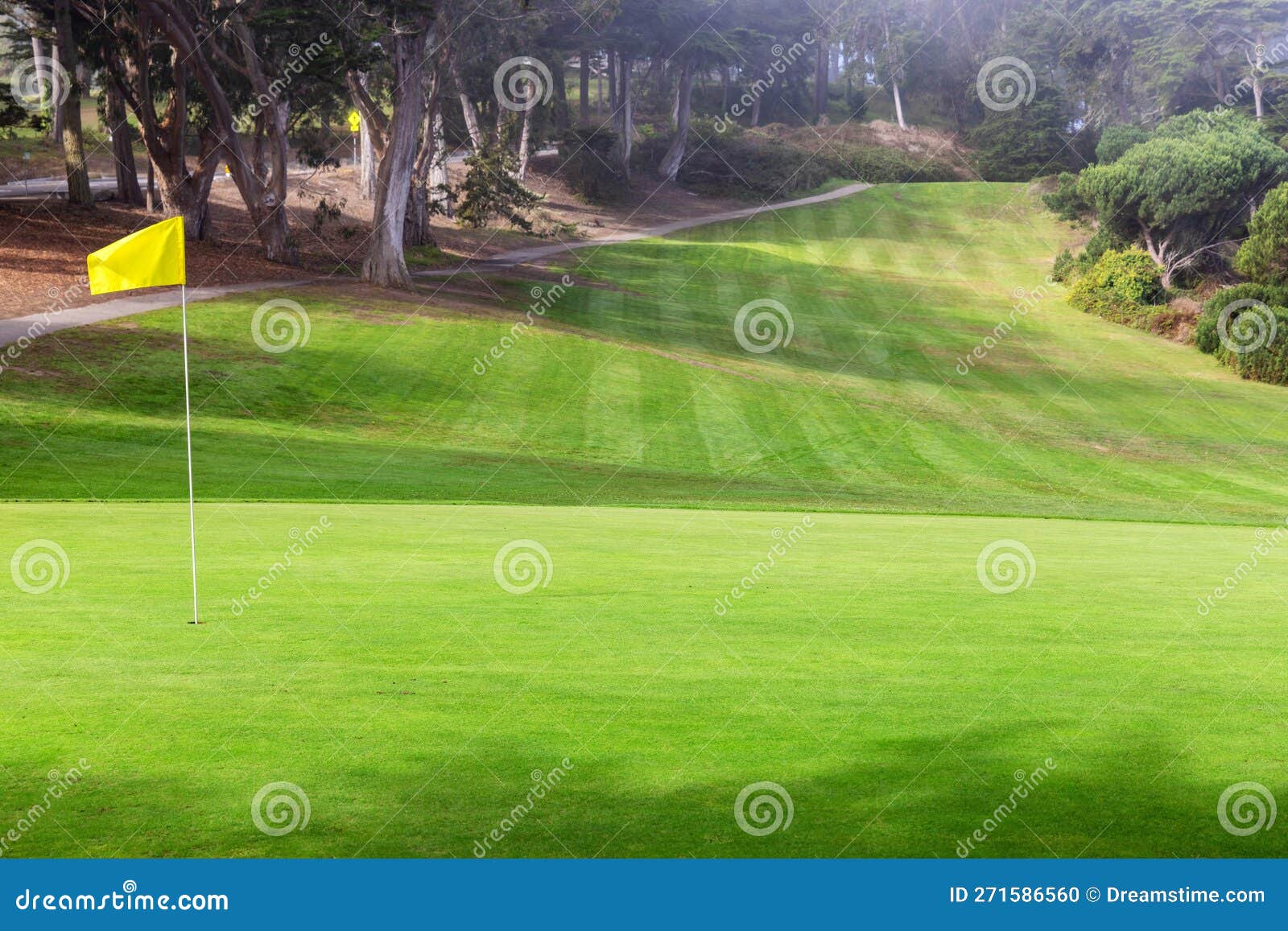 Golf Course with Green Grass Stock Photo - Image of recreation, tree ...