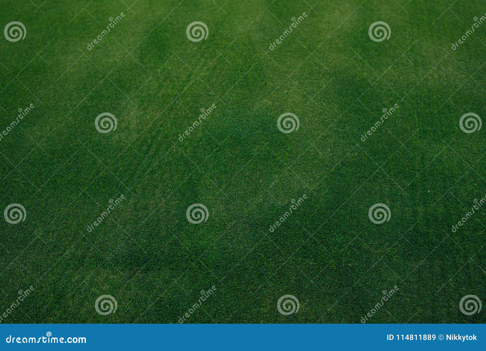 Golf Course Green Grass Texture Stock Image - Image of space, natural ...