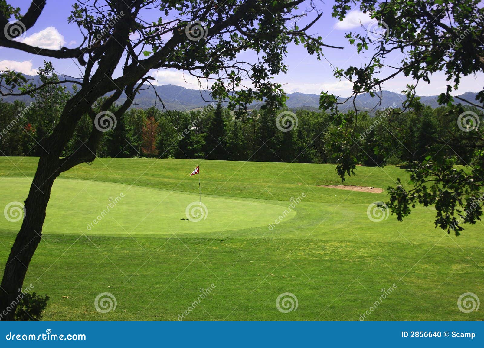 Golf Course Greens stock photo. Image of golf, trees, summer - 2856640