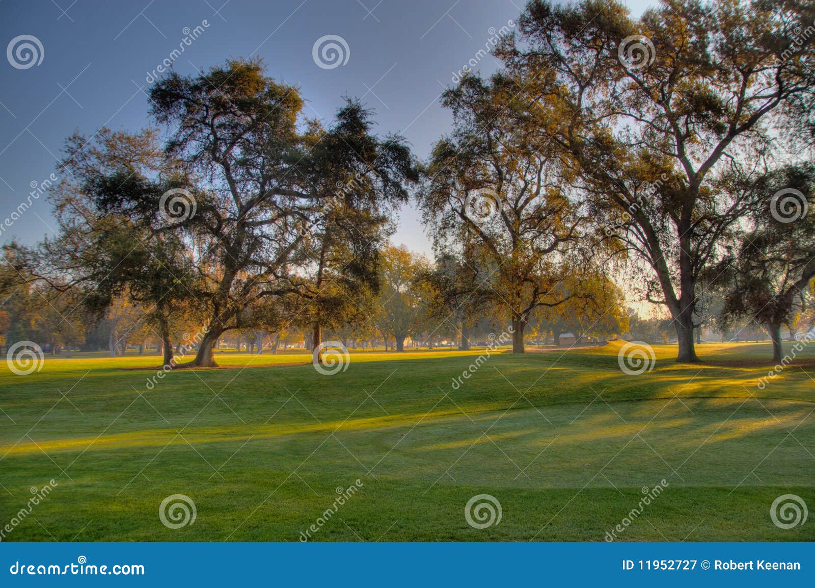 Golf Course Greens HDR stock image. Image of colorful - 11952727
