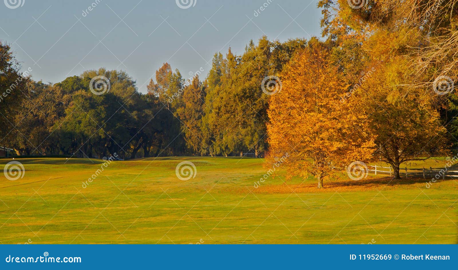 Golf Course Greens Two Gold Leaf Trees Stock Image - Image of ...