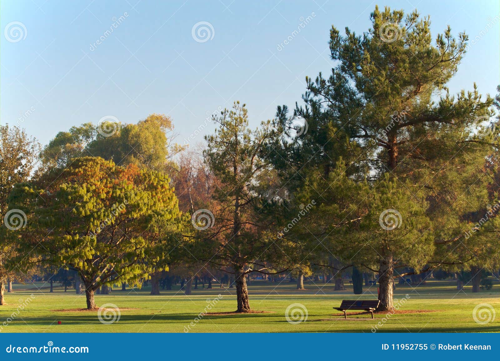 Golf Course Greens with Wood Bench Stock Image - Image of colors, field ...