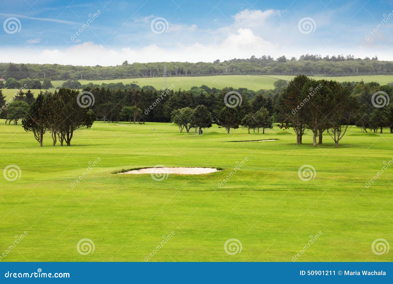 Golf course stock image. Image of natural, detail, grass - 50901211