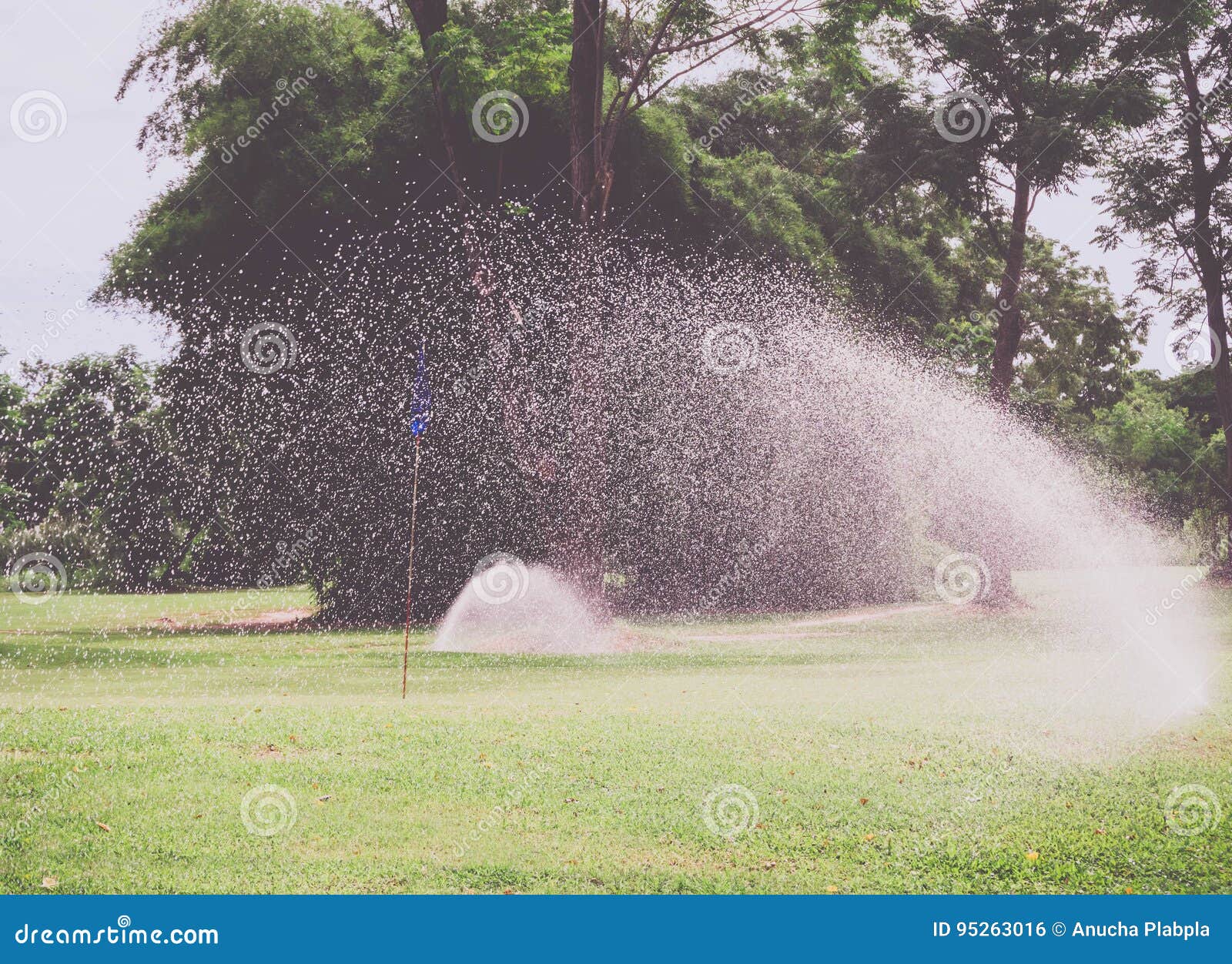 Golf Course Irrigated by Sprinkler. Stock Photo - Image of sport ...