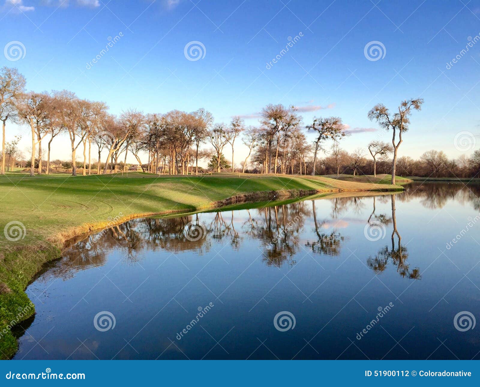 Golf Course Lake stock photo. Image of golf, pond, trees - 51900112