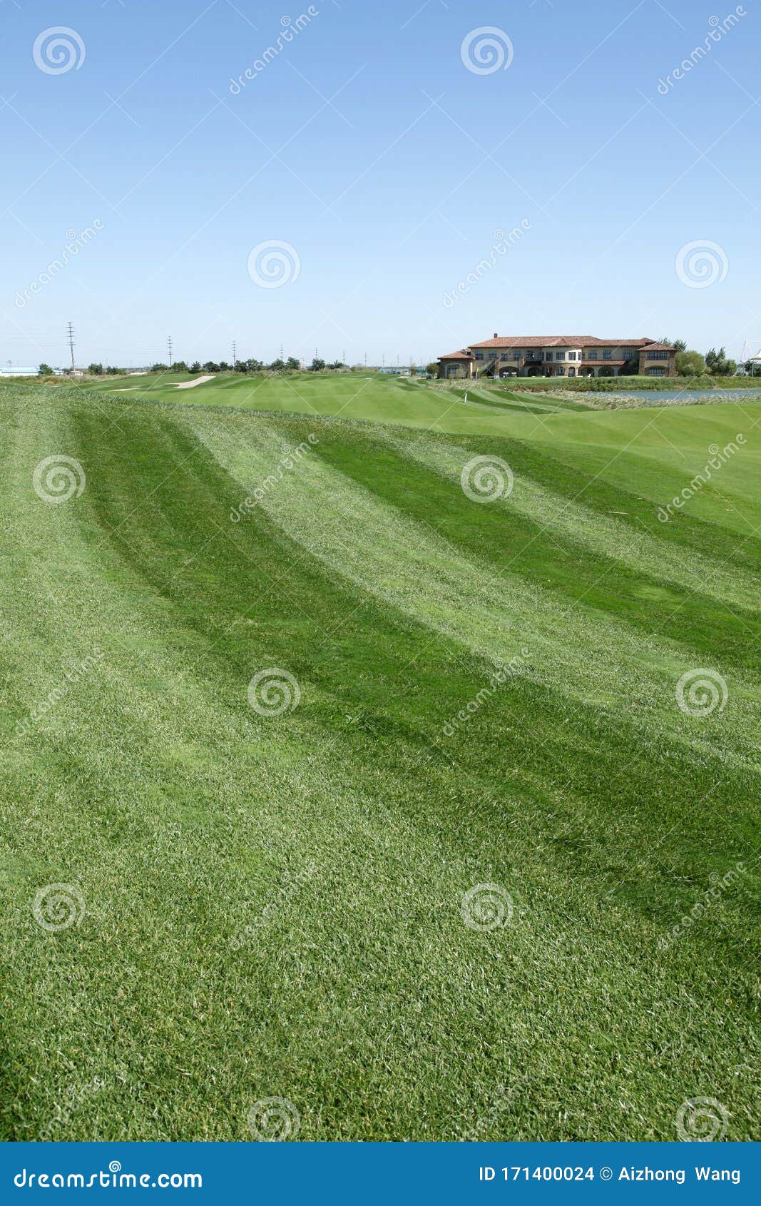The golf course landscape stock photo. Image of meadow - 171400024