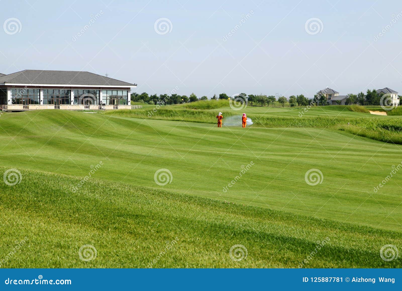 The golf course landscape stock image. Image of ball - 125887781