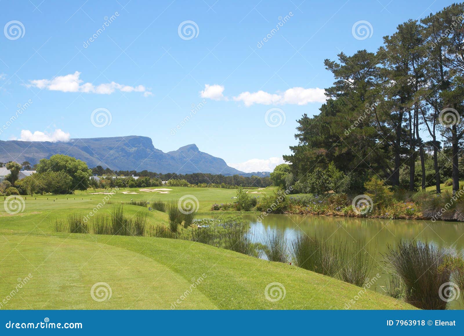 Golf Course Landscape in the Mountains Stock Photo - Image of location ...