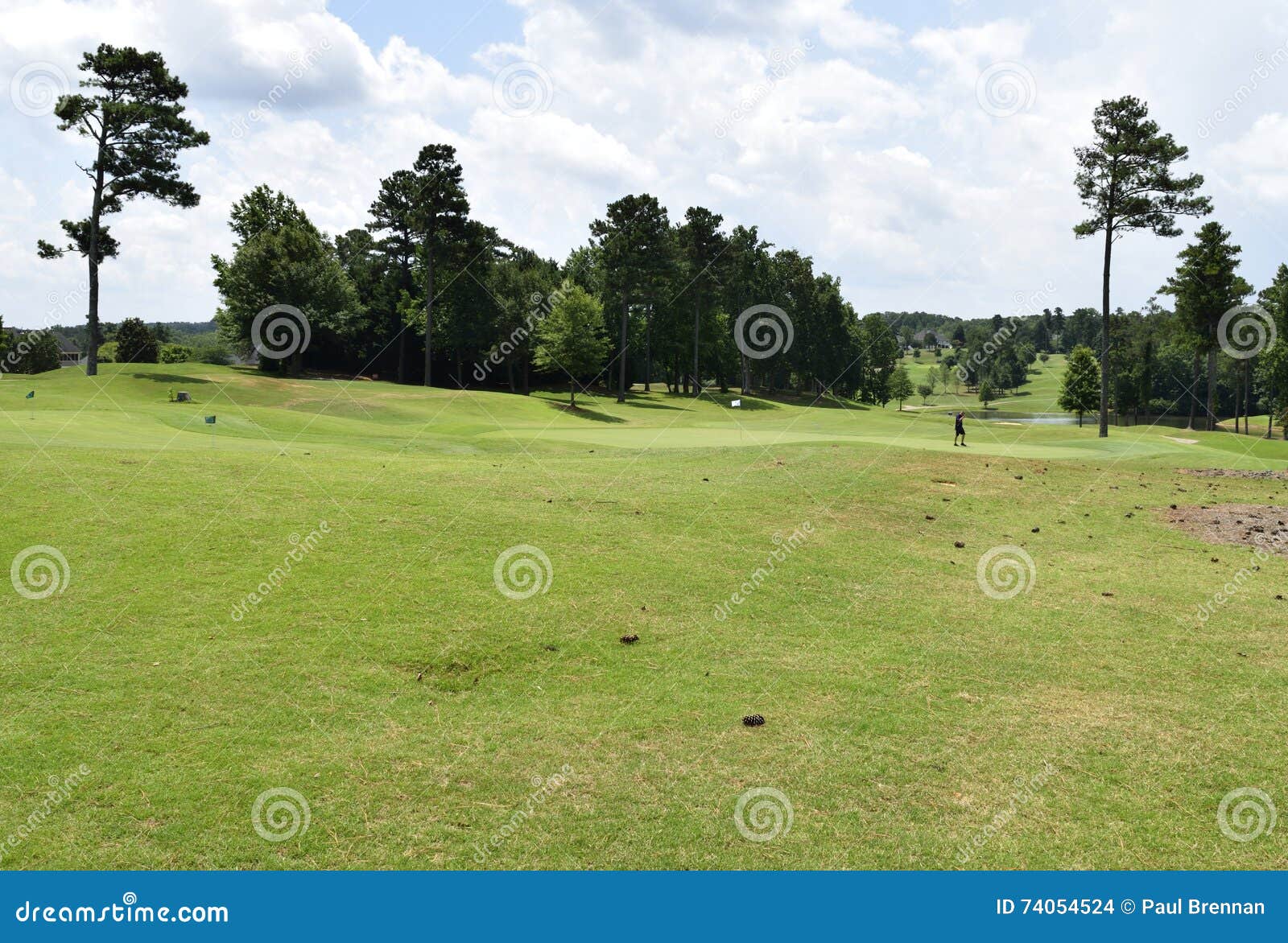 Golf course landscape stock photo. Image of golfing, fairway - 74054524