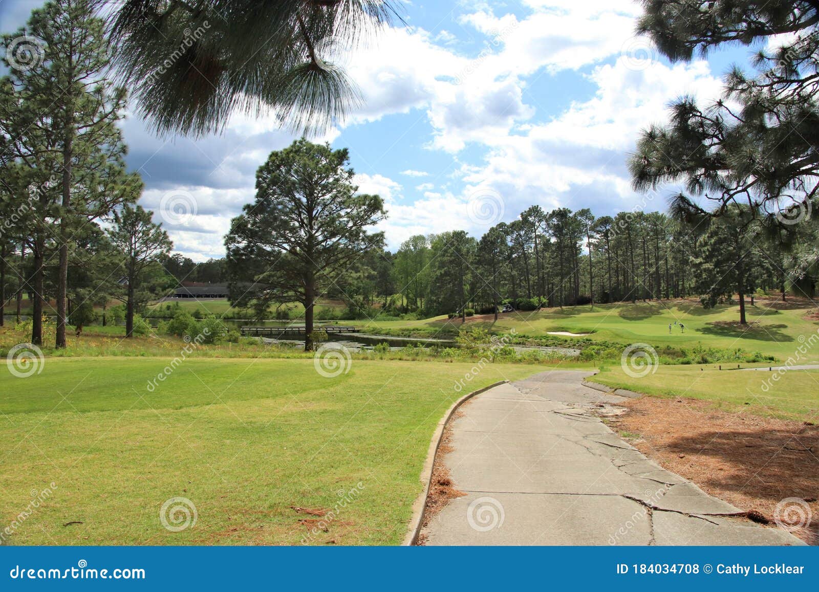 Golf Course Landscape Surrounded by Trees, and a Blue Sky with Clouds ...