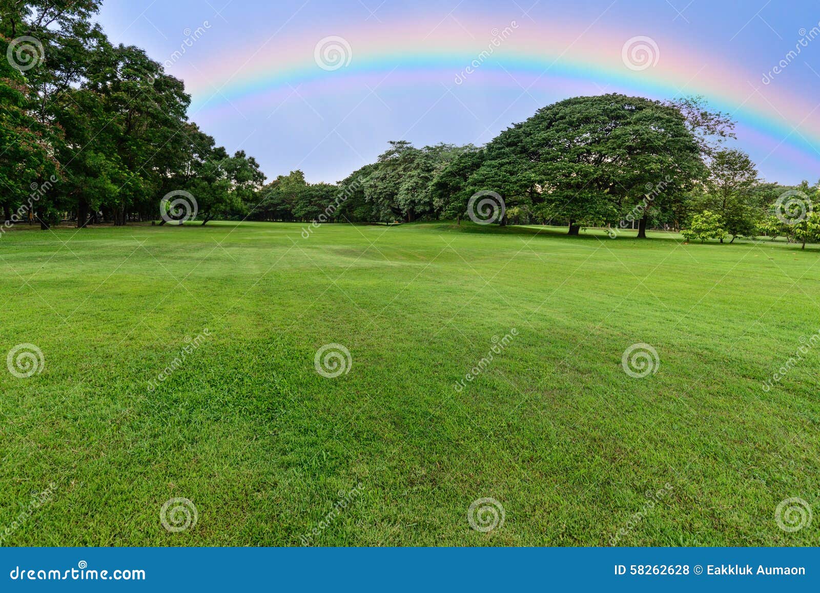 Golf Course Landscape with Tree and Rainbow Stock Photo - Image of lawn ...