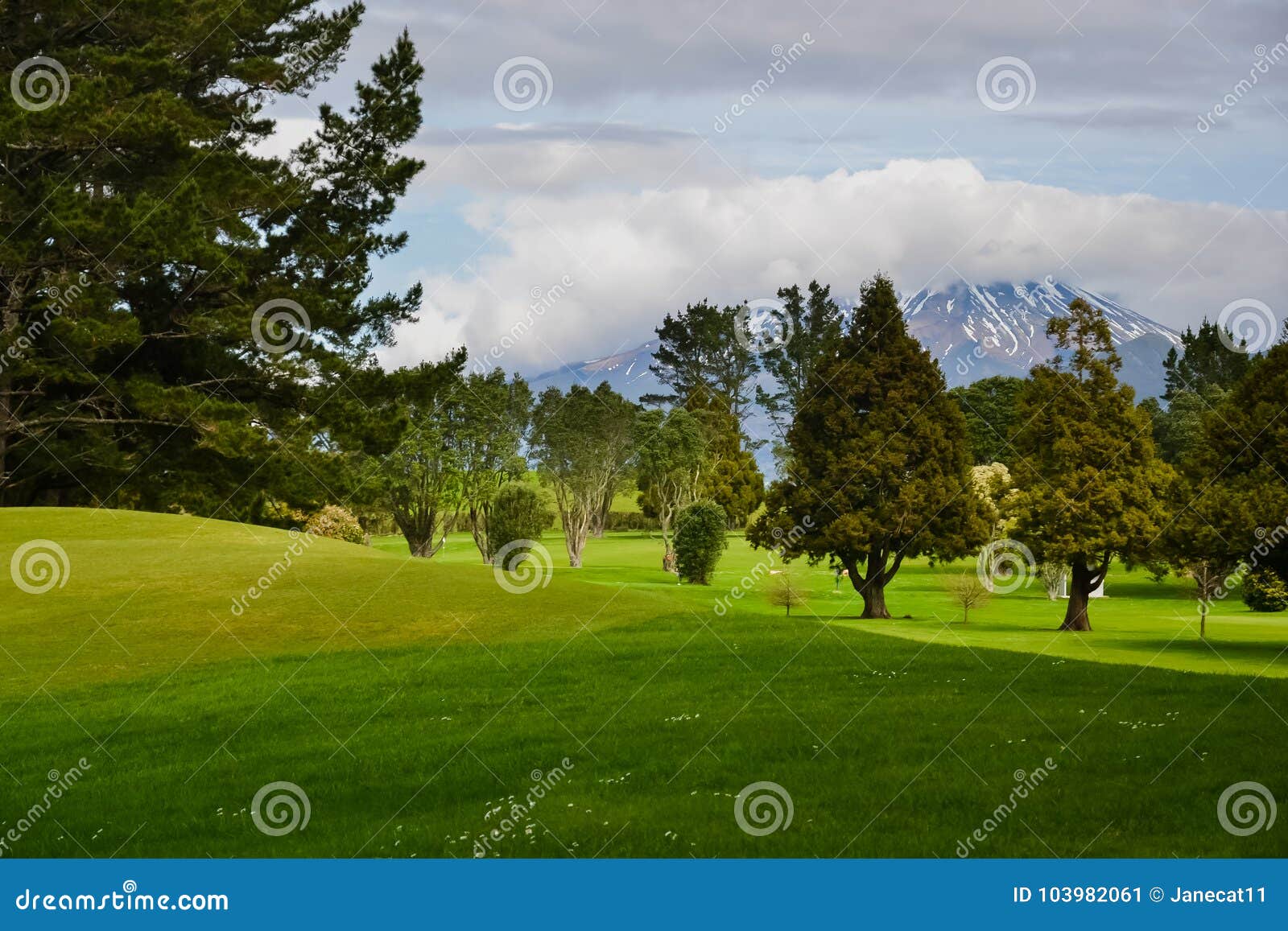 Golf Course Landscaping with Trees Stock Image - Image of beauty ...