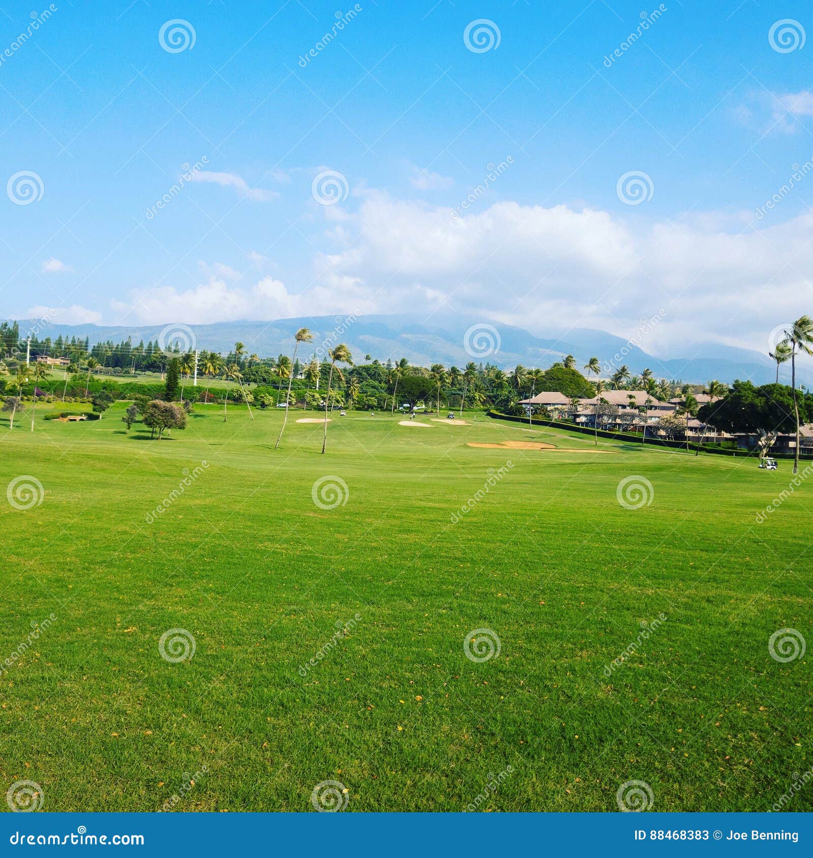 Golf Course stock image. Image of sport, long, fairway - 88468383