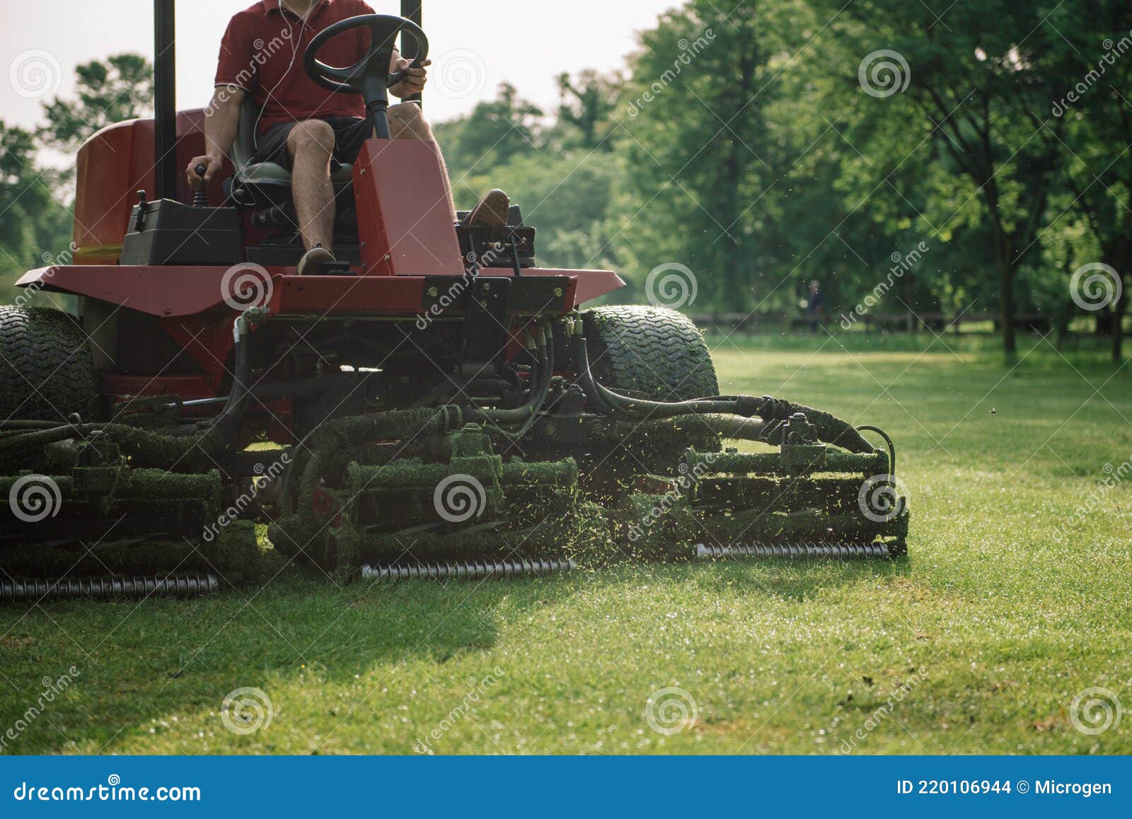 Golf Course Maintenance Equipment, Fairway Mower Stock Photo - Image of ...