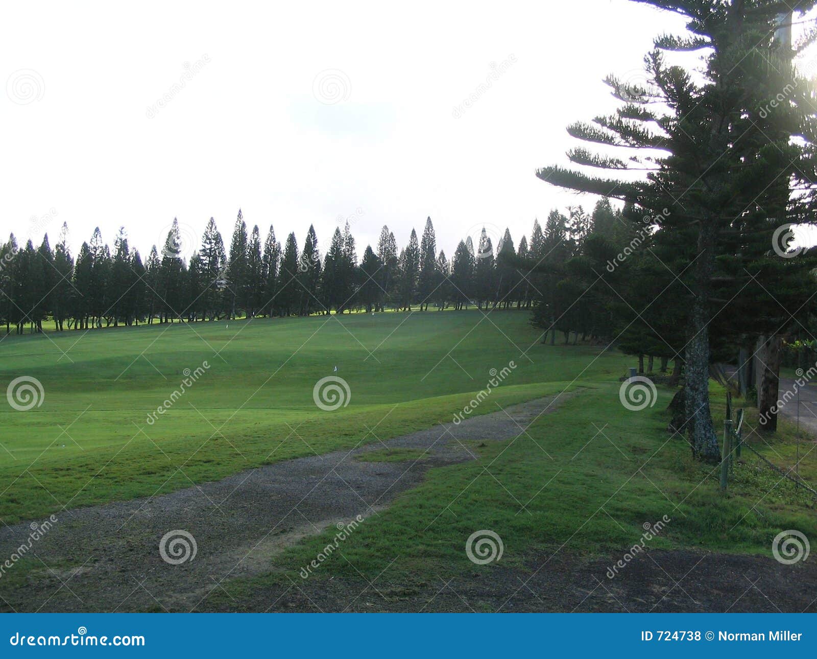 Golf Course in Maui, Hawaii Stock Photo - Image of napili, hawaii: 724738