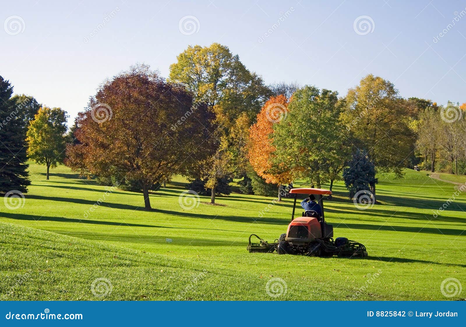 Golf Course Mower stock photo. Image of hardwood, worker - 8825842