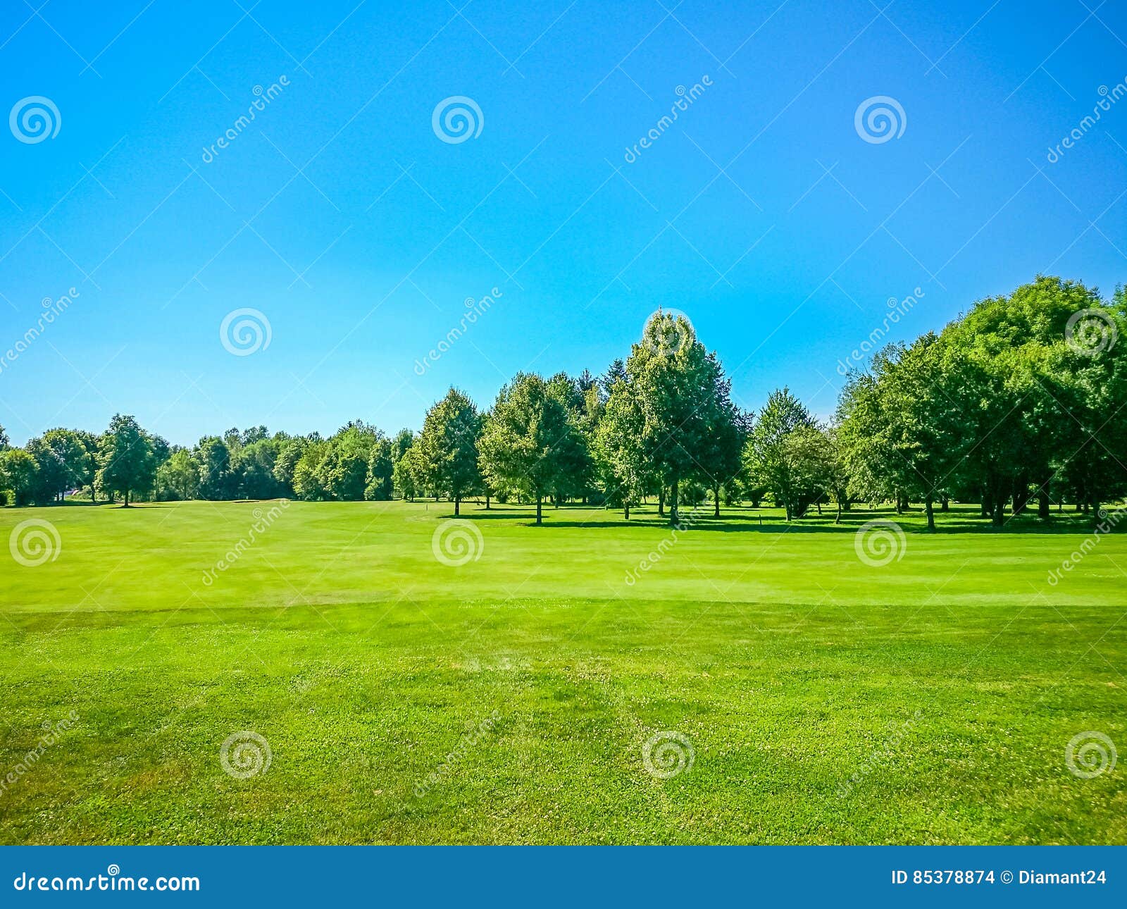 Golf Course, Natural Green Meadow, Blue Sky Stock Photo - Image of ...