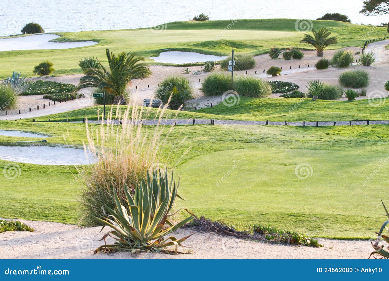 Golf Course by the ocean stock photo. Image of active - 24662080