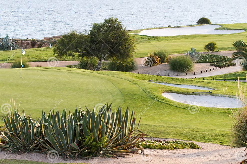 Golf Course by the ocean stock photo. Image of game, green - 24662360