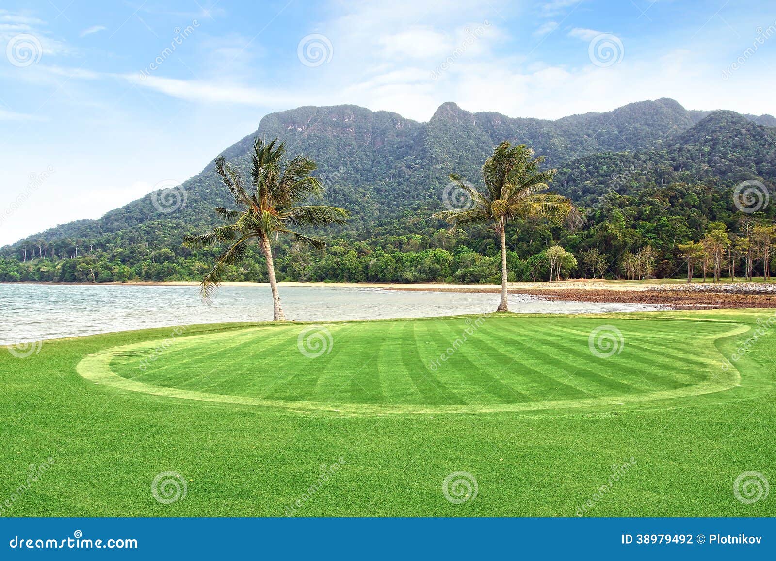 Golf Course and Palm Trees. Stock Photo - Image of game, paradise: 38979492