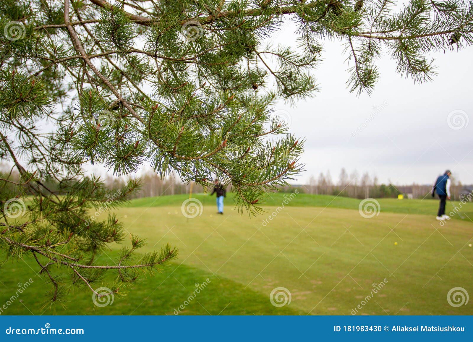 Golf Course Panoramas a Nature Stock Photo - Image of play, game: 181983430
