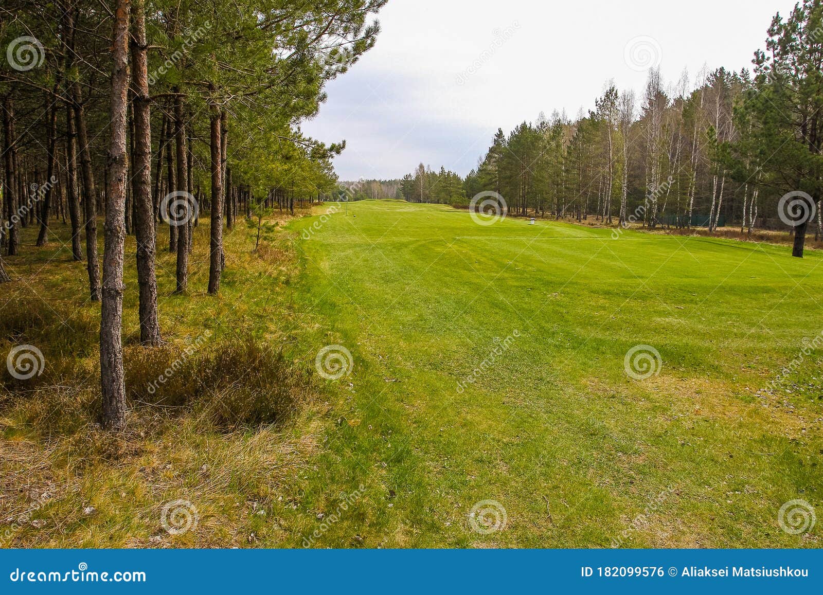 Golf Course Panoramas a Nature Stock Photo - Image of panoramic, golfer ...