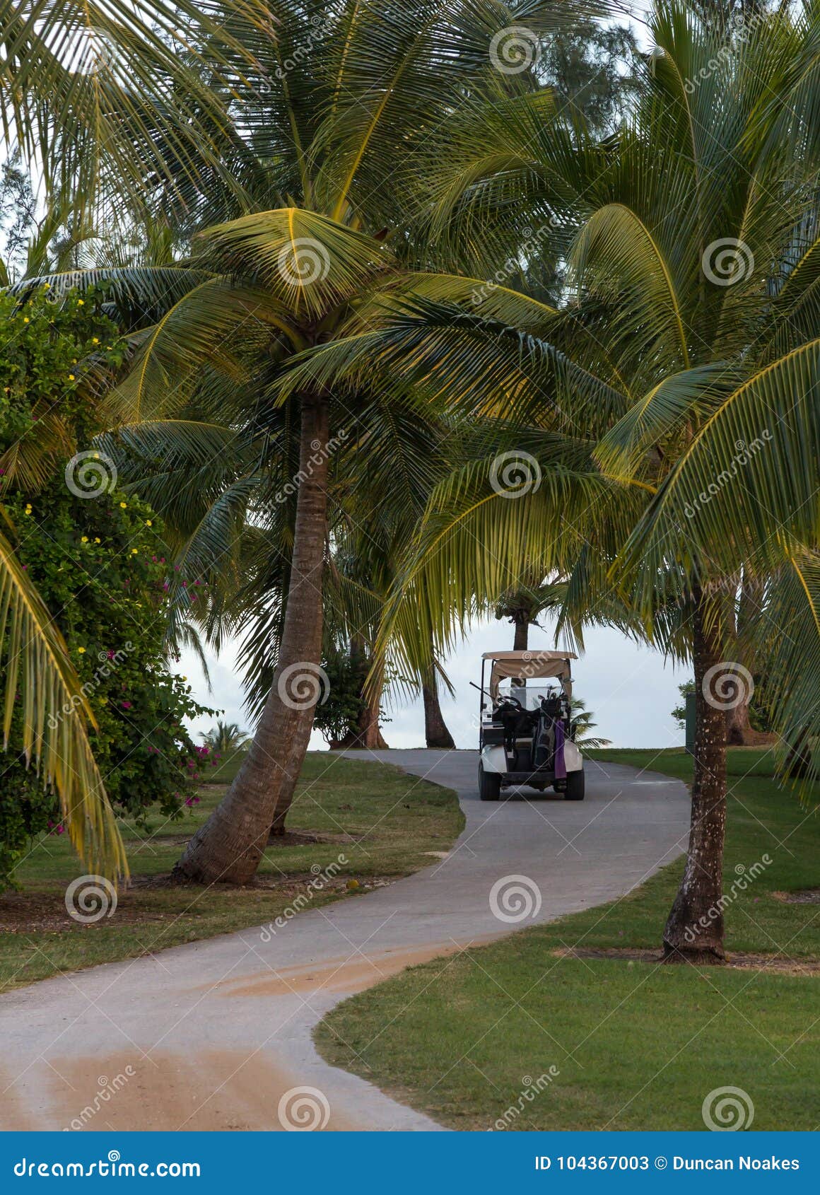 Golf Course Path with Golf Cart Stock Image - Image of play, plant ...
